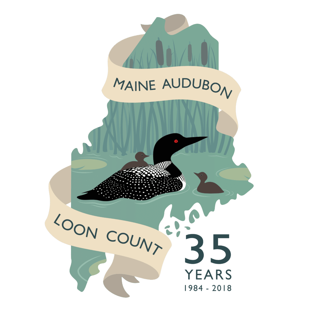 The Maine Loon Count Turns 35! - Maine Audubon