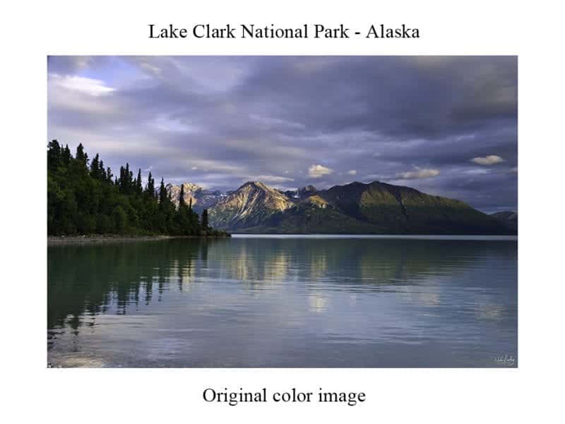 Through the Lens with Nick Leadley: Thinking in Tones - Maine Audubon