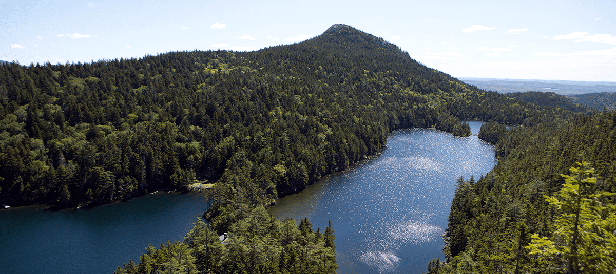 Reading the Borestone Landscape with Alexandra Conover Bennett ...