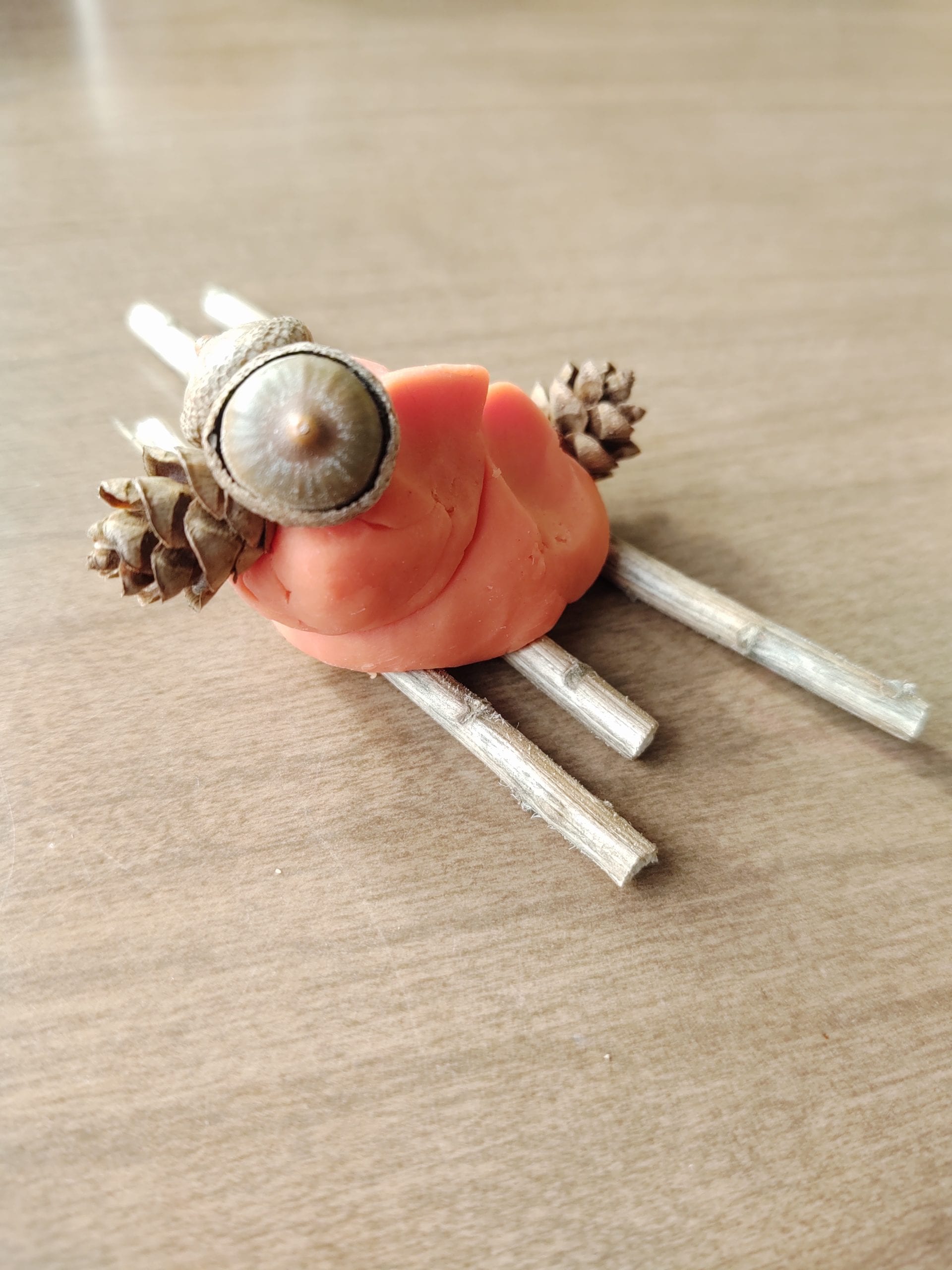 Family Fun Connections: What's Under a Rock? - Maine Audubon