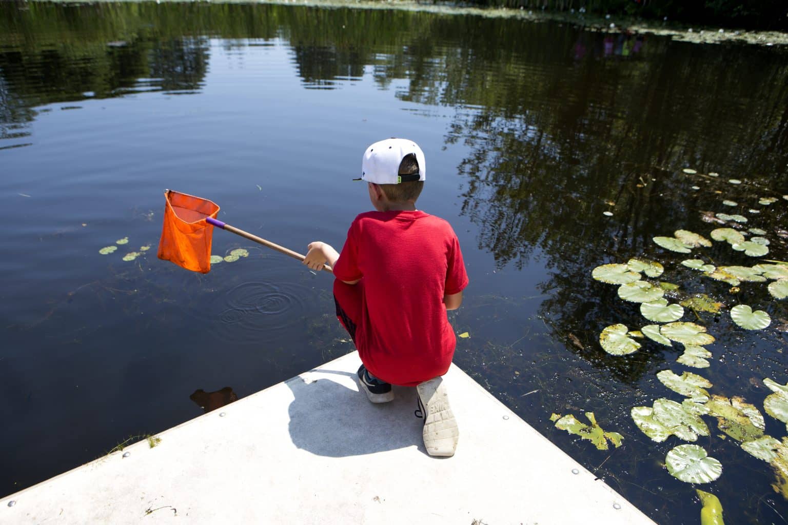 Connections: Exploring a Pond, Part 1 - Maine Audubon