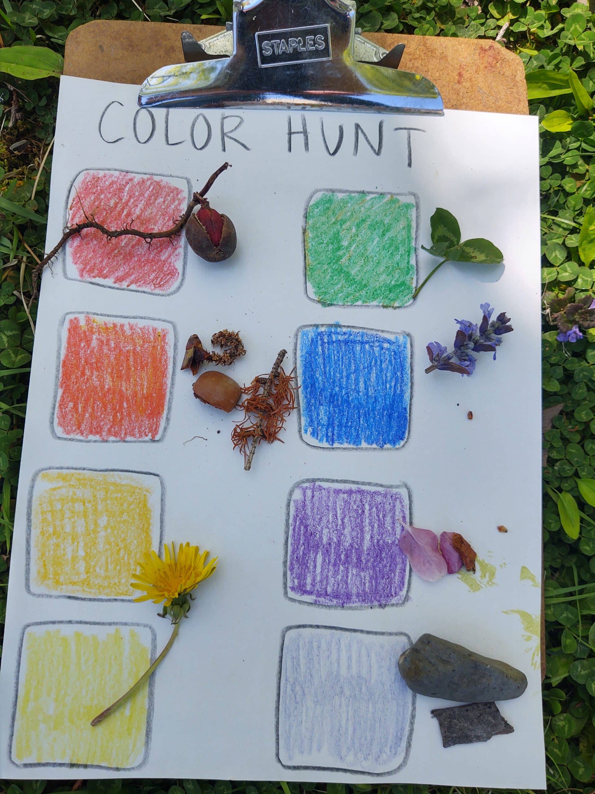Family Fun Connections: Exploring Color - Maine Audubon