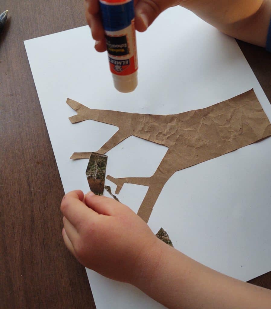 Family Fun Connections: Neighborhood Trees - Maine Audubon