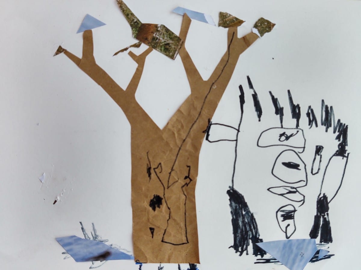 Family Fun Connections: Neighborhood Trees - Maine Audubon