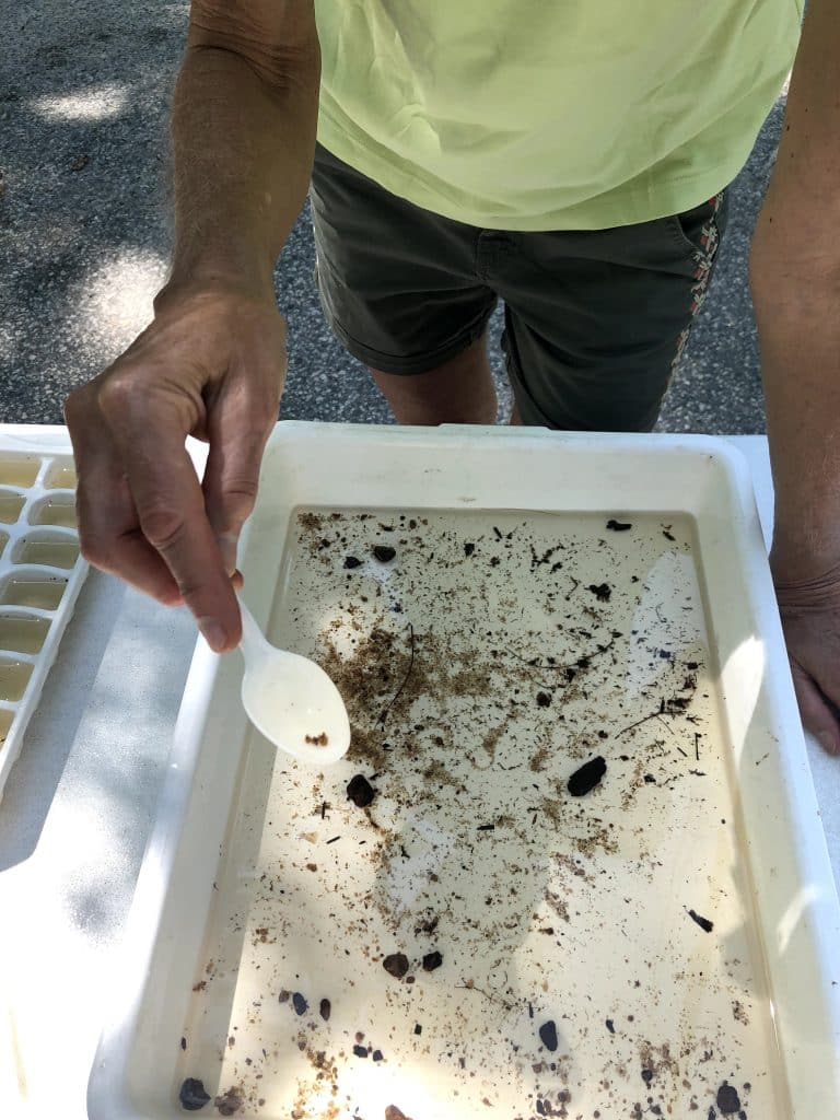 Stream Explorers - Maine Audubon