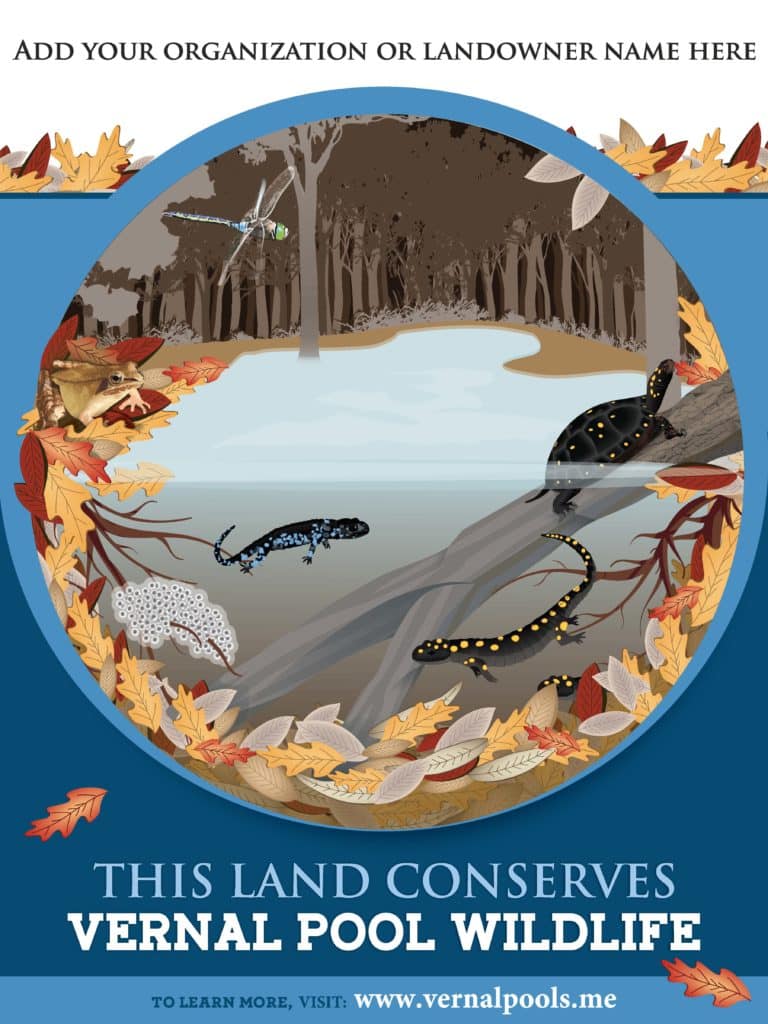 Vernal Pools - Maine Audubon