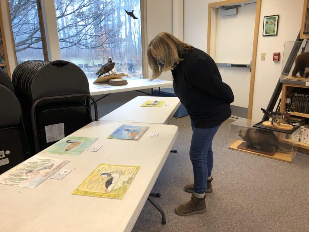 Junior Duck Stamp judging complete! - Maine Audubon