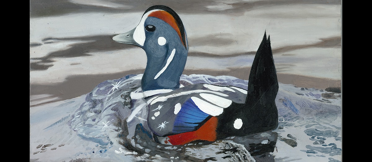 Junior Duck Stamp Challenge 2021 | Maine Audubon
