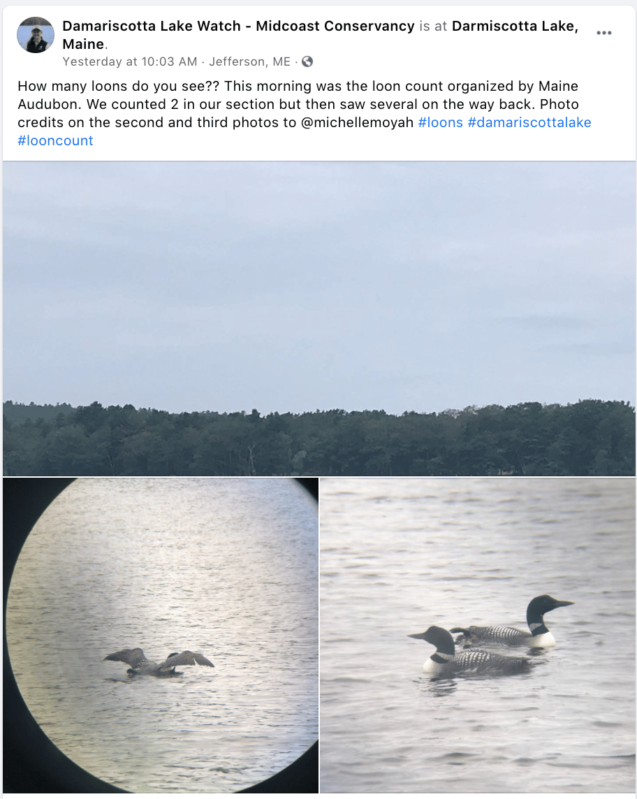 The 2021 Annual Loon Count is in the books! - Maine Audubon
