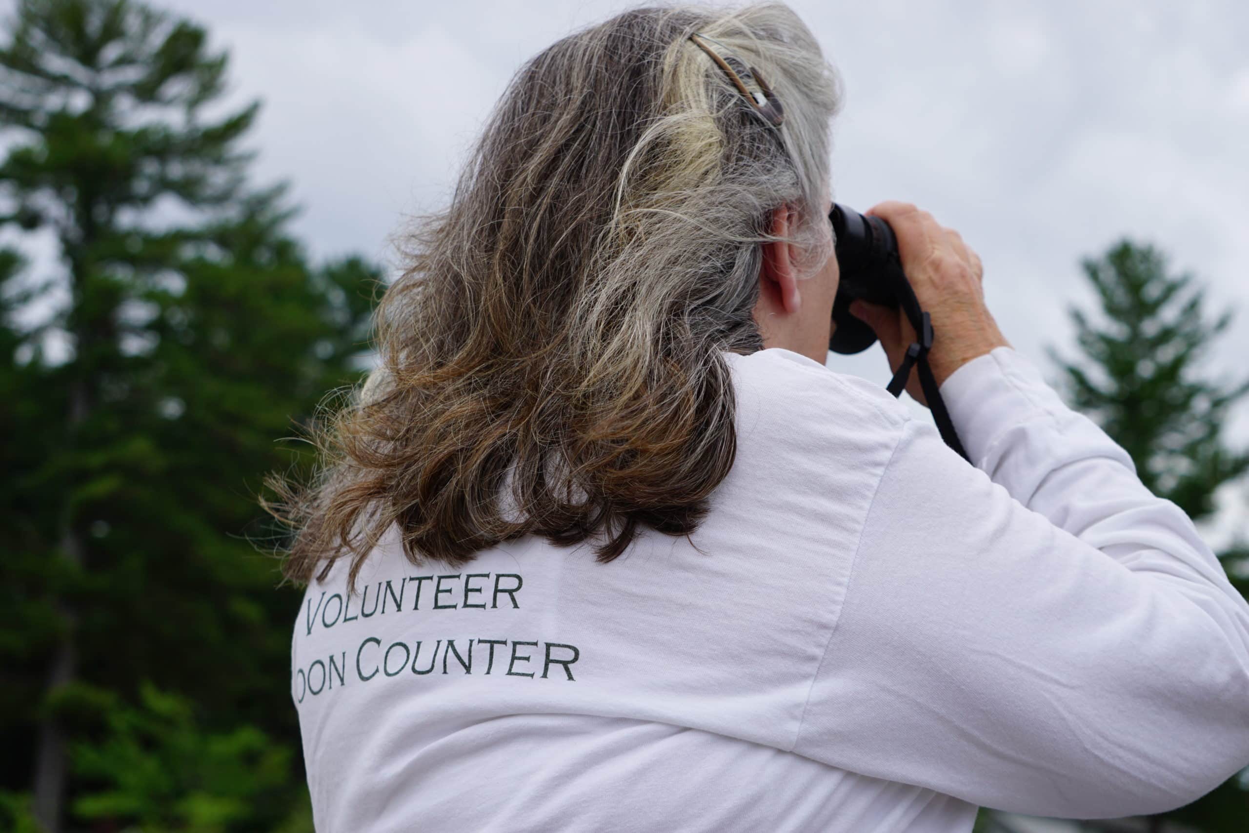 The 2021 Annual Loon Count is in the books! - Maine Audubon