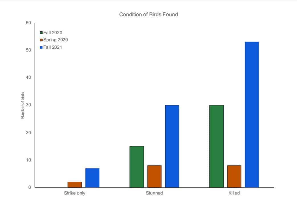 Bird/Glass Collision Project Wraps Fall 2021 Season with Record Numbers ...