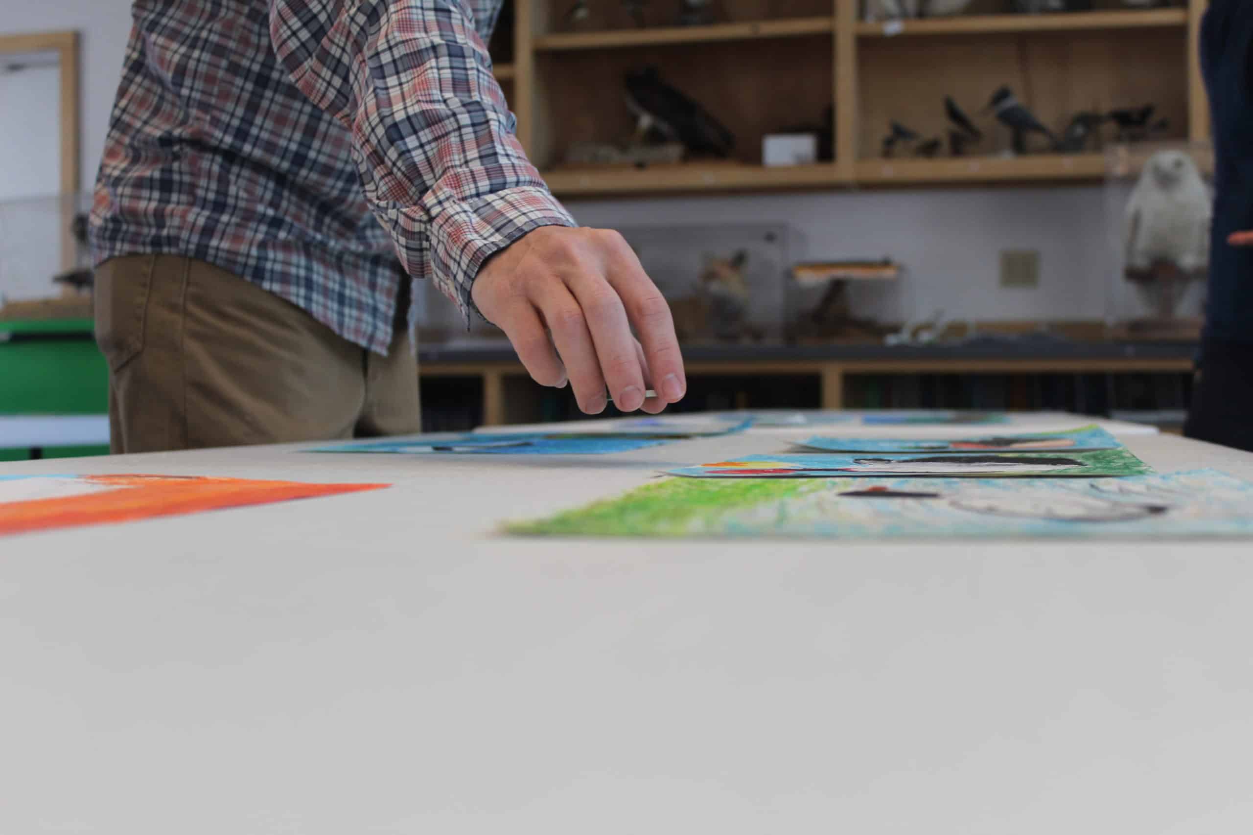 Judging Complete for 2022 Junior Duck Stamp Challenge - Maine Audubon