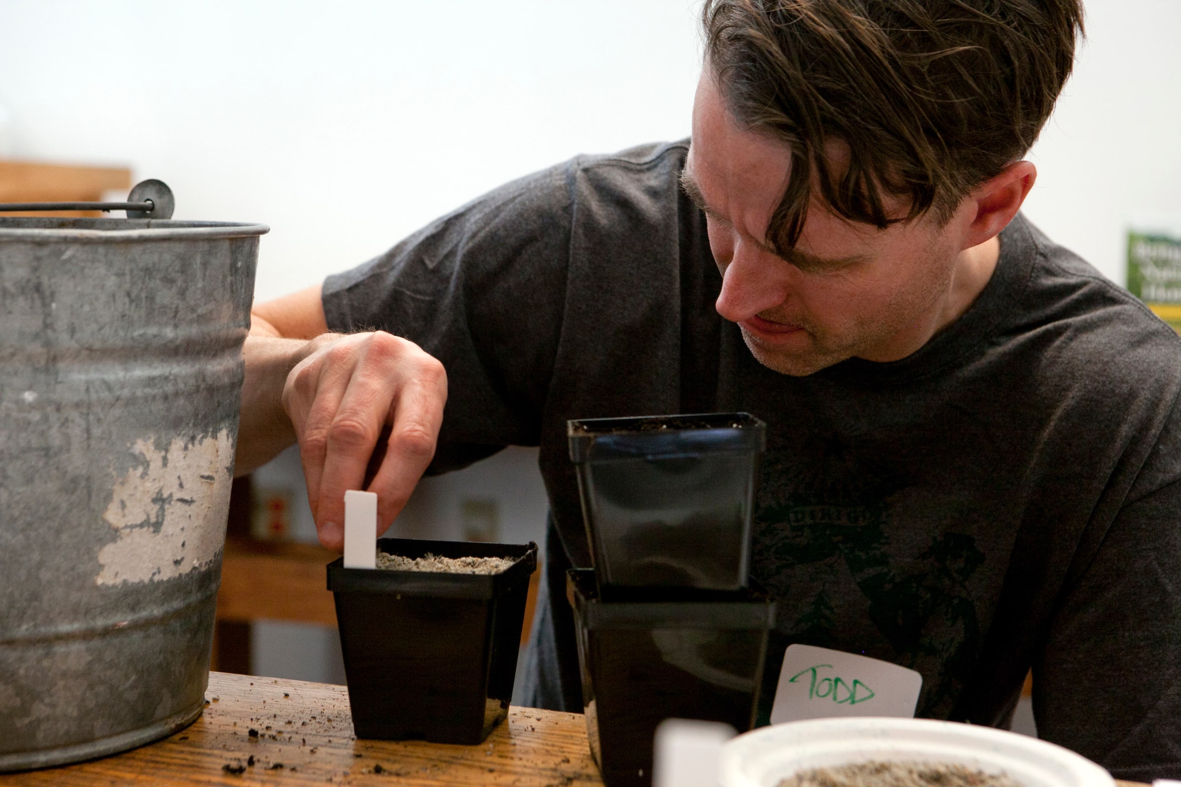 December is the perfect time for growing Maine native plants from seed ...