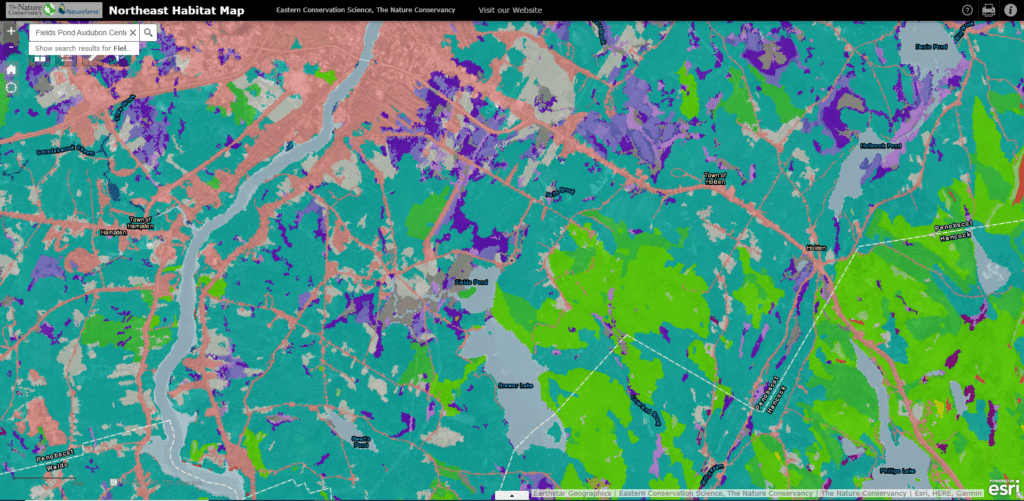 Use these tools to make a master plan for your landscape - Maine Audubon