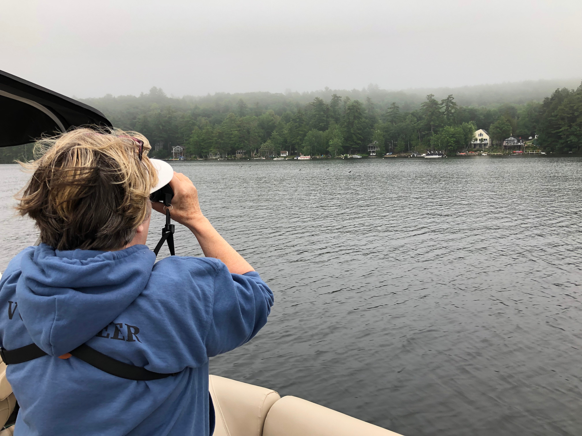 Loon Count: Forty years and still counting! - Maine Audubon