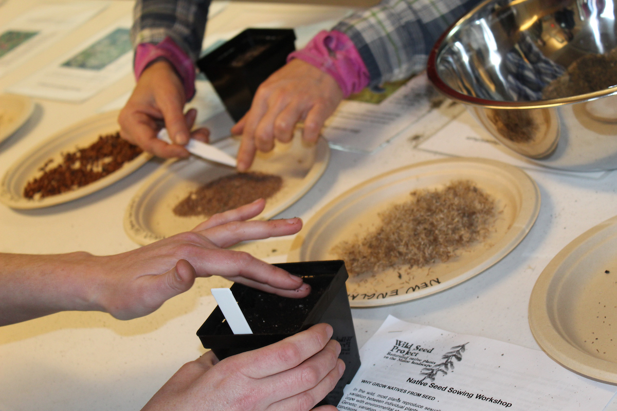 Want to grow your own native plants? - Maine Audubon