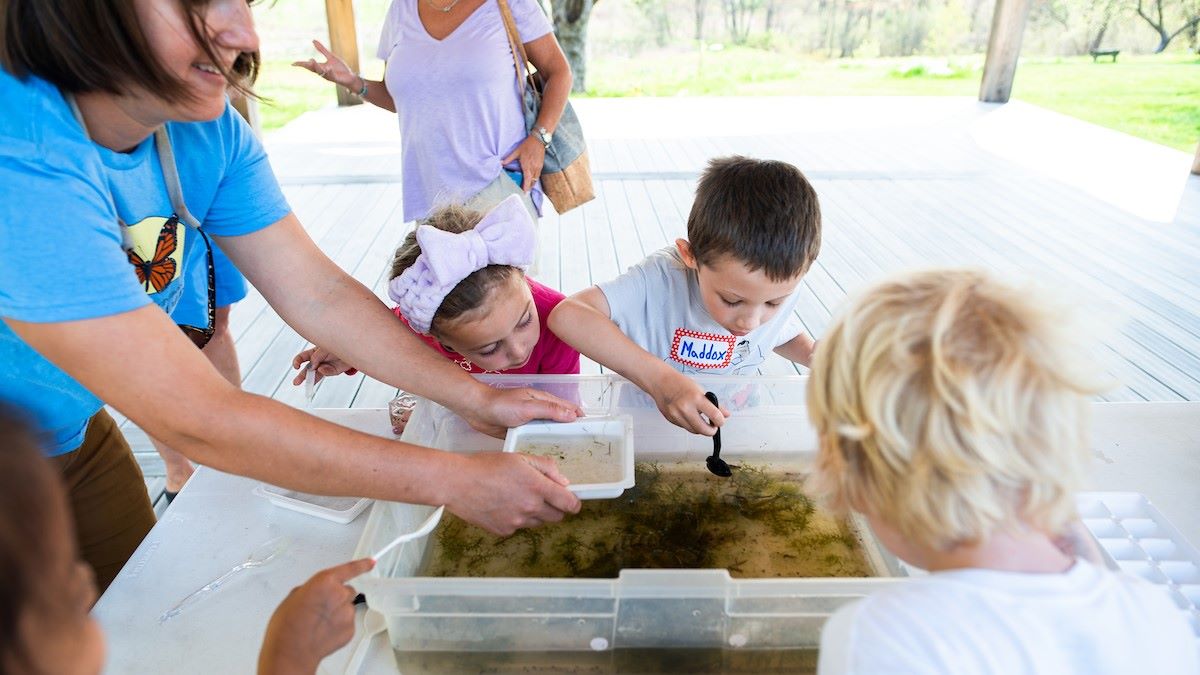 School Programs - Maine Audubon