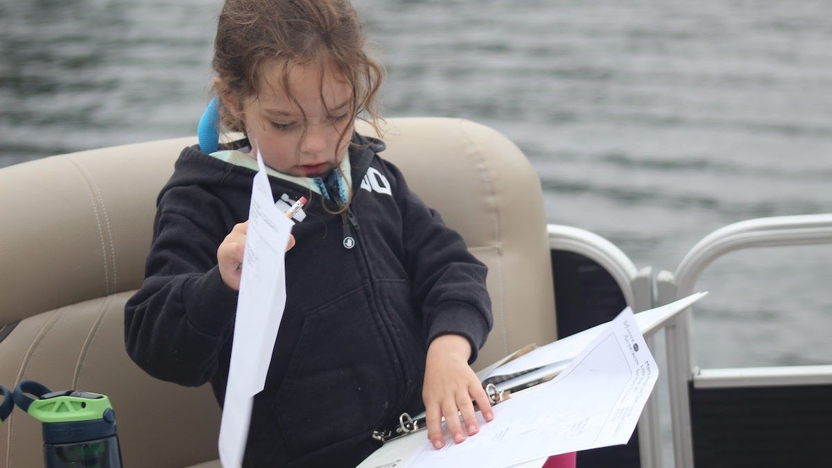 A New Way to Get Involved with the Annual Loon Count - Maine Audubon