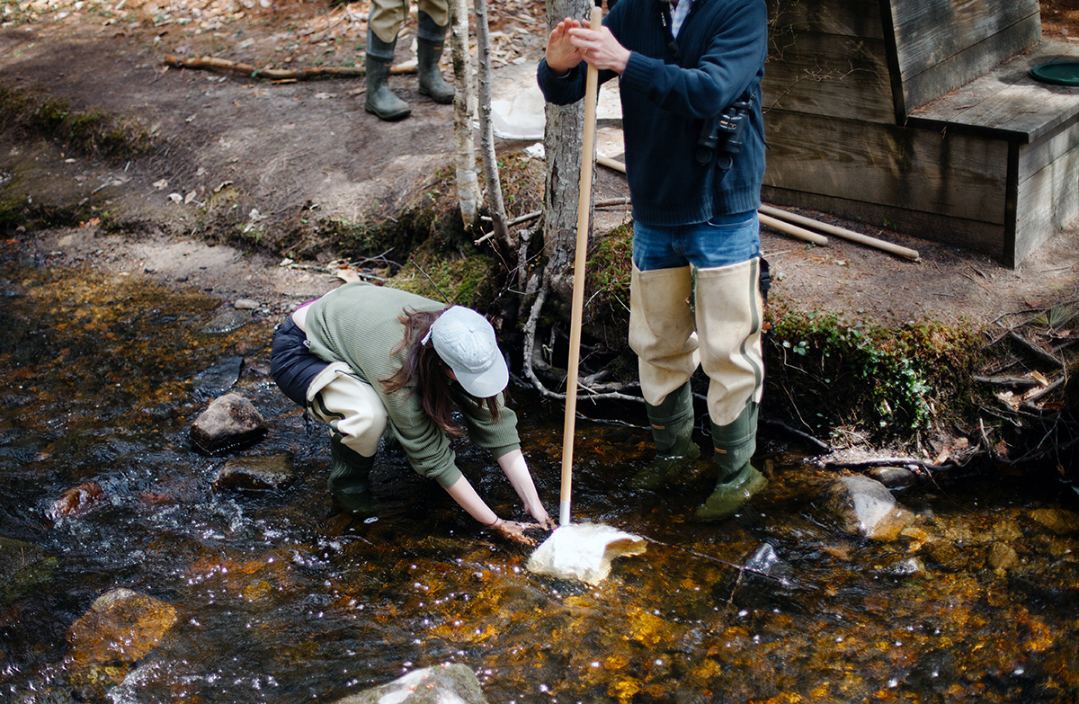 Marsh and Stream Explorers Field Day at Jamies Pond - Maine Audubon