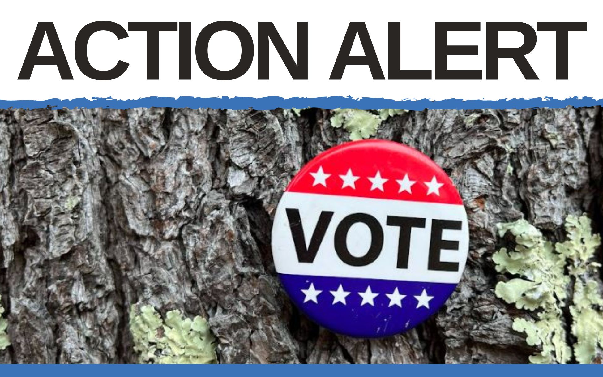 Voting Resources - 2024 - Maine Audubon