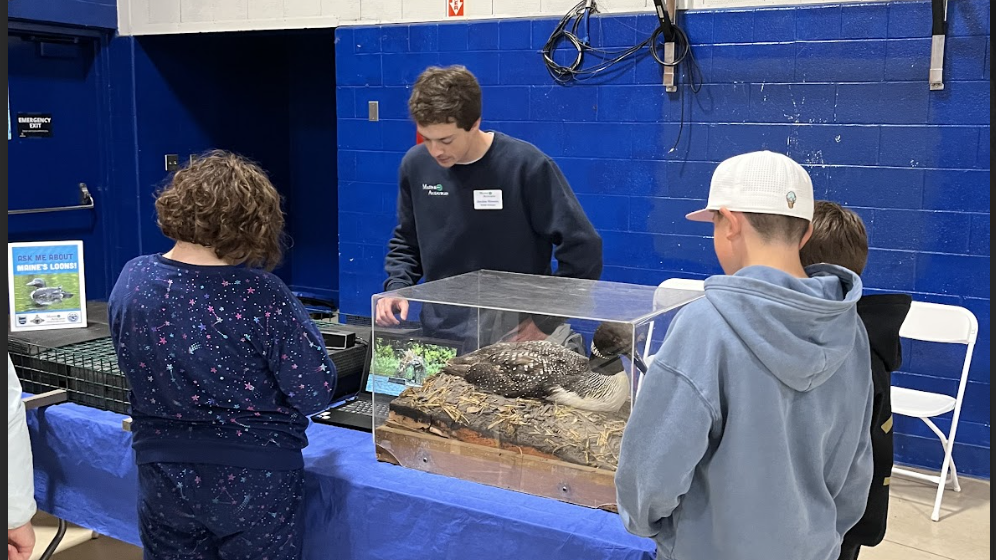 Loons on the move: A visit to the Southern Maine Children's Water ...