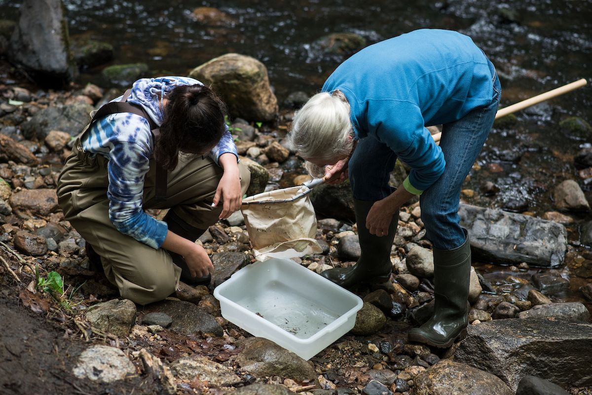 Marsh and Stream Explorers - Maine Audubon