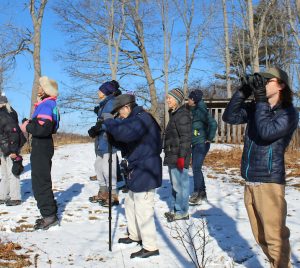Birding Programs Archives - Maine Audubon