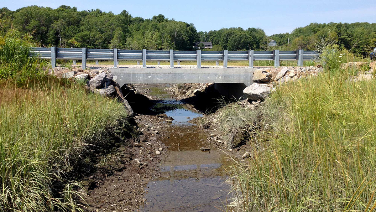CoastWise Introductory Workshop in Owls Head, ME - Maine Audubon
