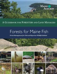 Forests for Maine Fish - Maine Audubon