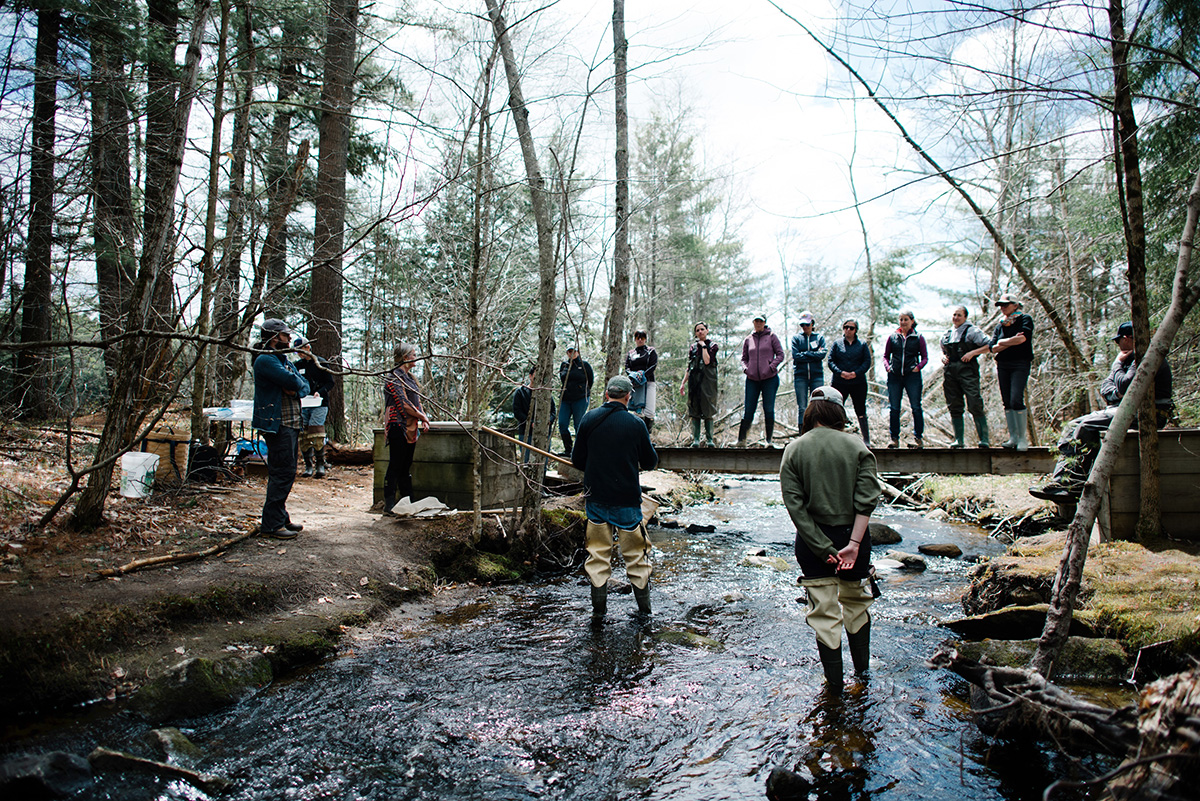 Marsh and Stream Explorers Field Day at Holt Pond - Maine Audubon
