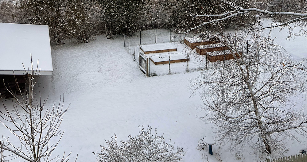 Winter Garden Prep Field Experience - The New Fall Checklist - Maine ...